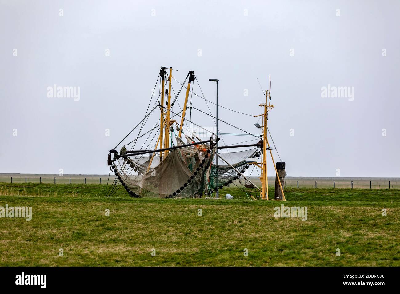 Crab cutter hi-res stock photography and images - Alamy