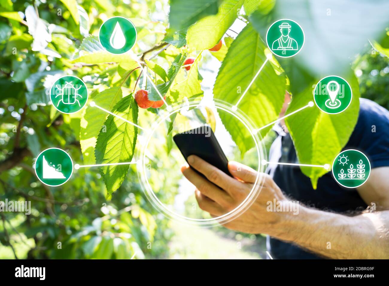 Smart Farming Digital Technology Agriculture App At Farm Stock Photo ...
