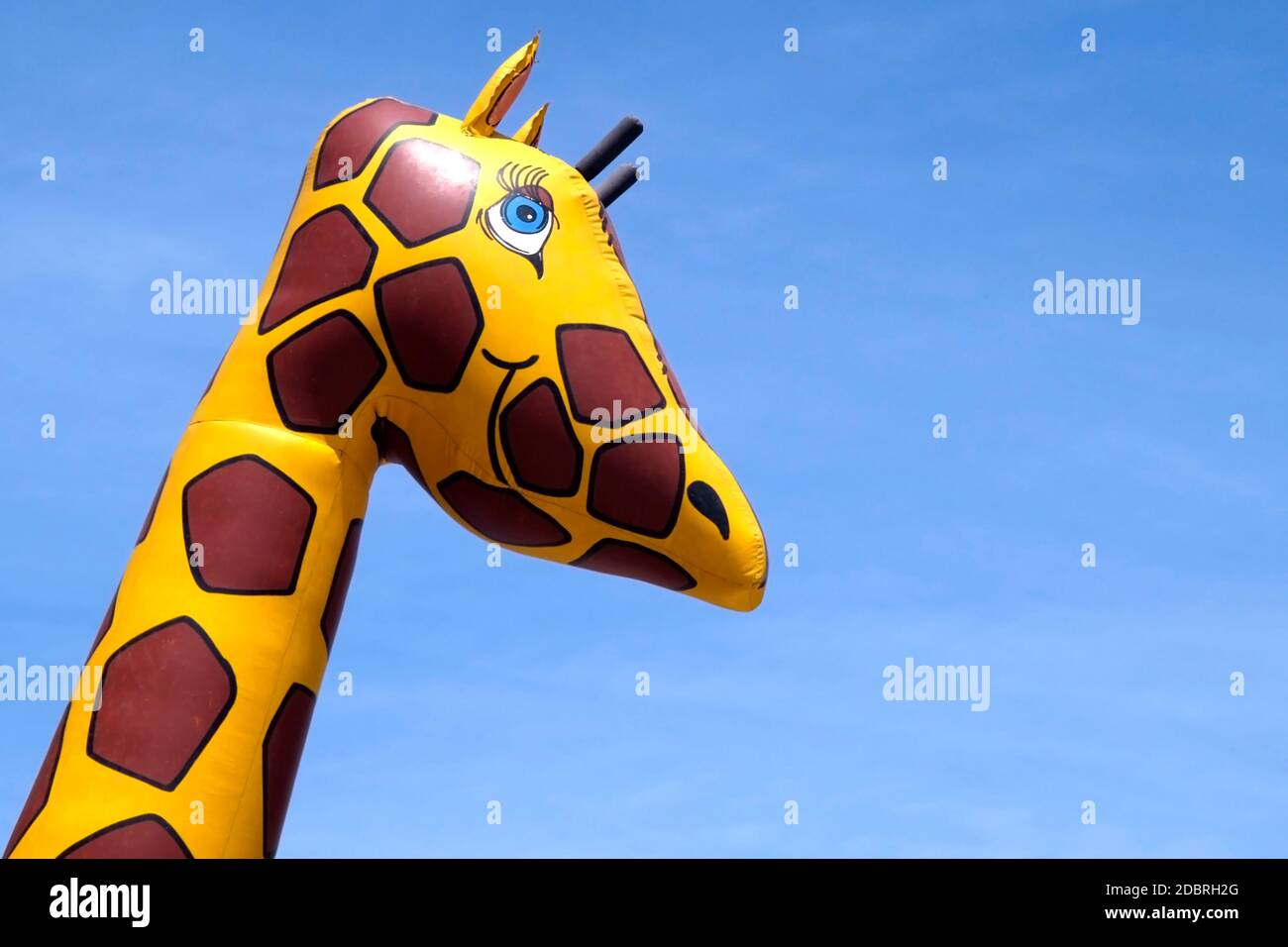 Giraffe inflatable toy Stock Photo - Alamy
