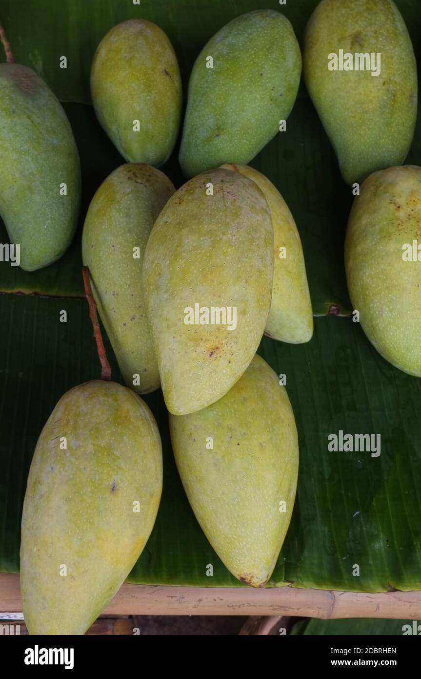 Fresh mango in Thai market Stock Photo - Alamy