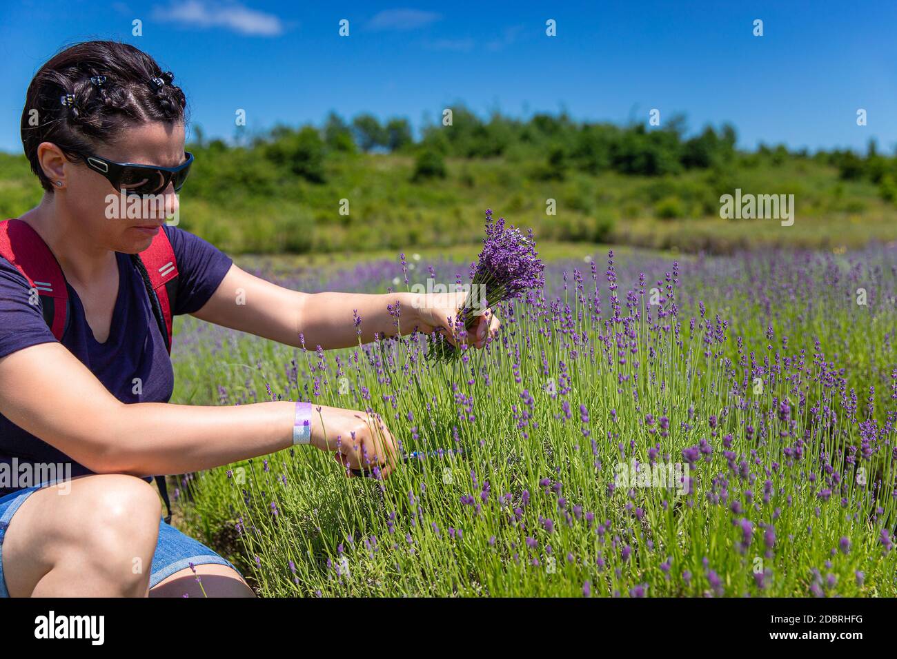 Gathering flowers hi-res stock photography and images - Alamy