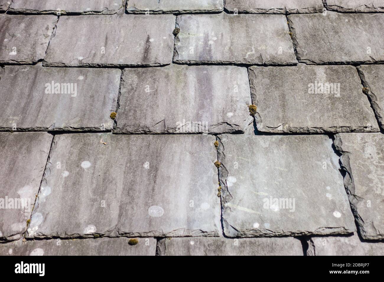 A slate tiled roof. on a traditional house Stock Photo - Alamy