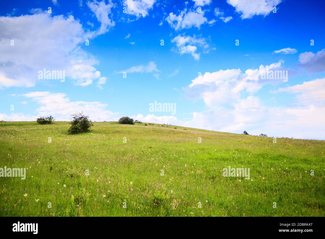 Beautiful nature landscape , panoramic view, summer day, fresh air ...