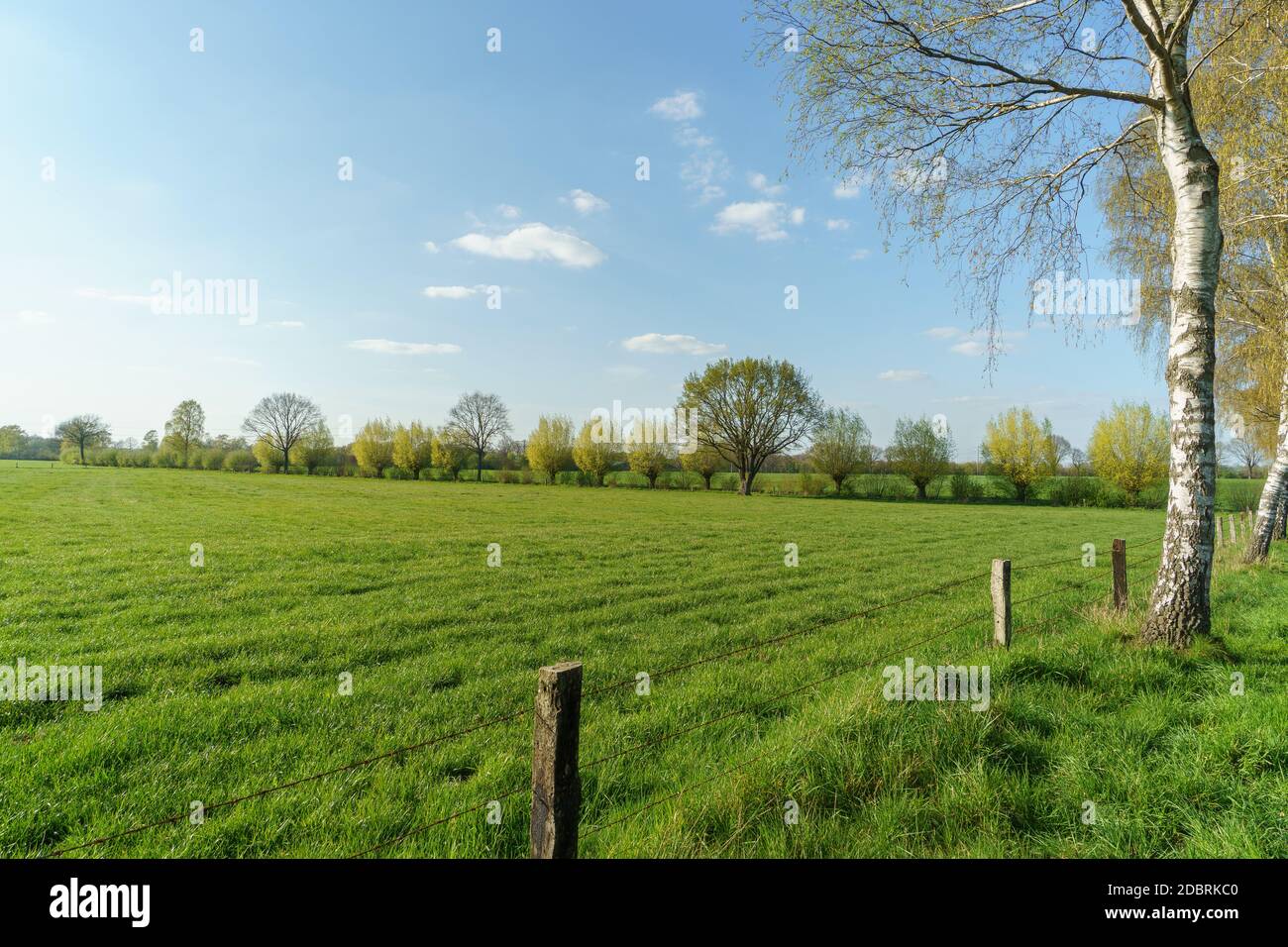 spring time in the german muensterland Stock Photo - Alamy