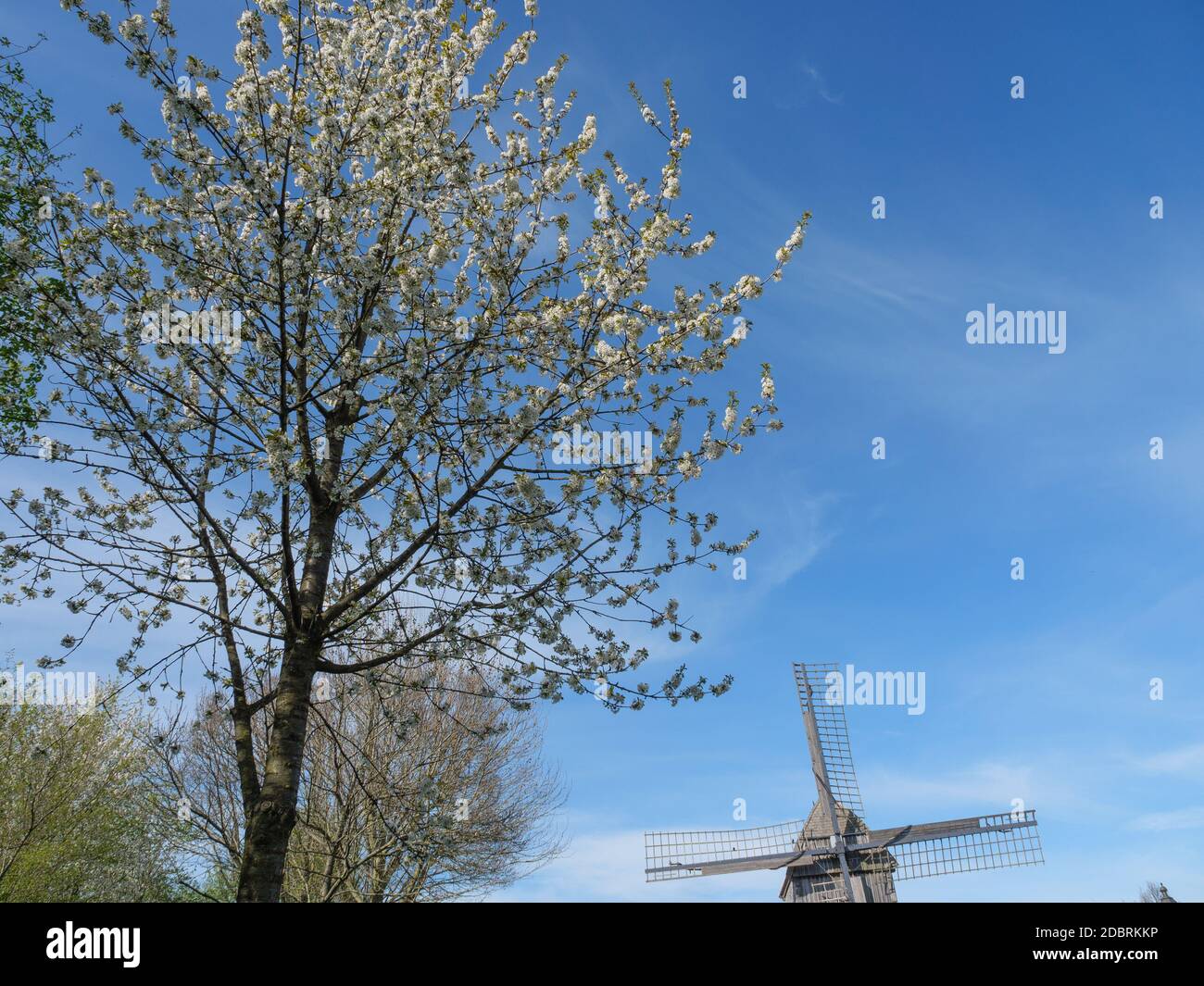 old windmill in the german muensterland Stock Photo - Alamy