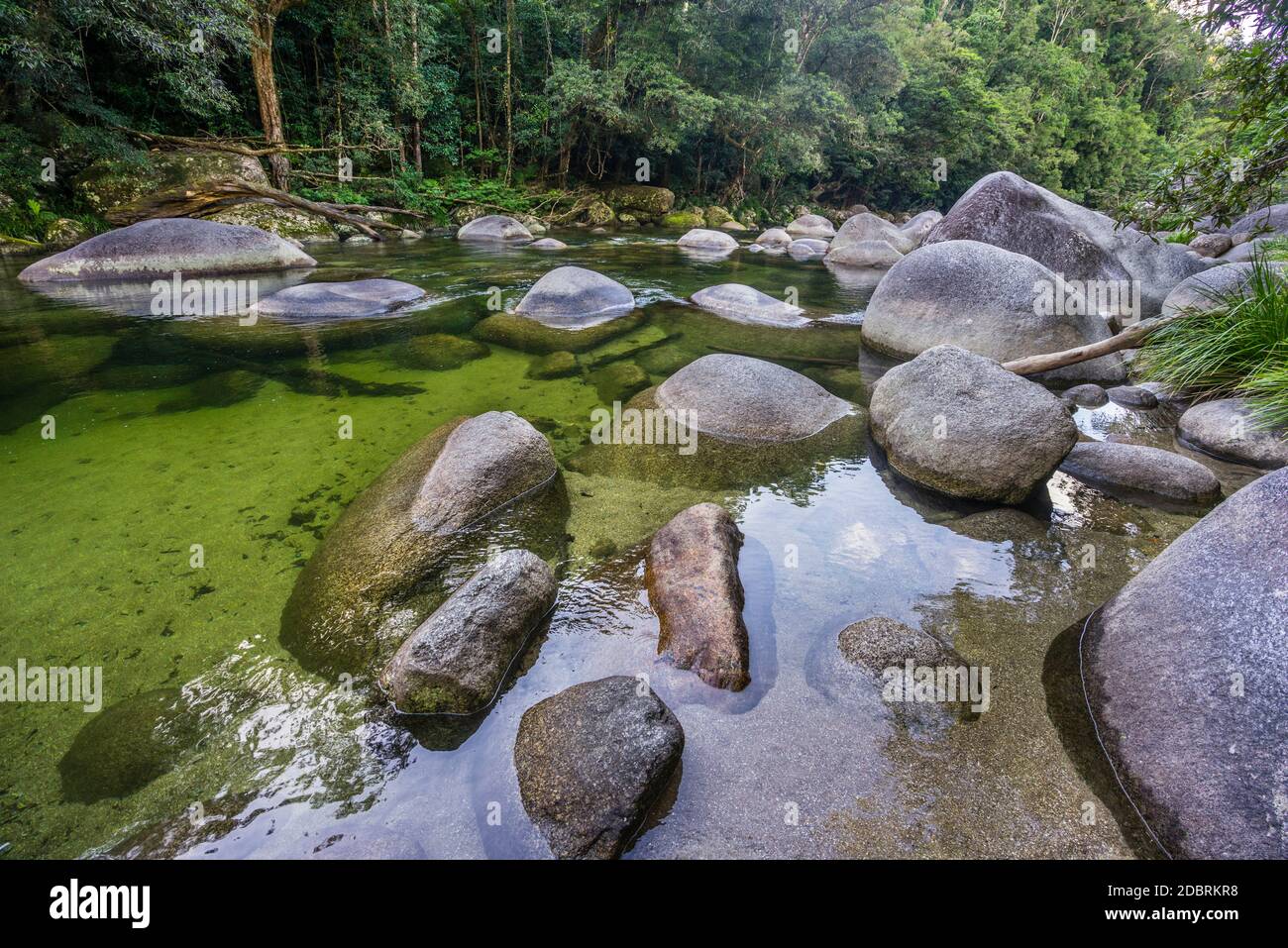 valley of the Mossman Gorge created by the Mossman River through the ...