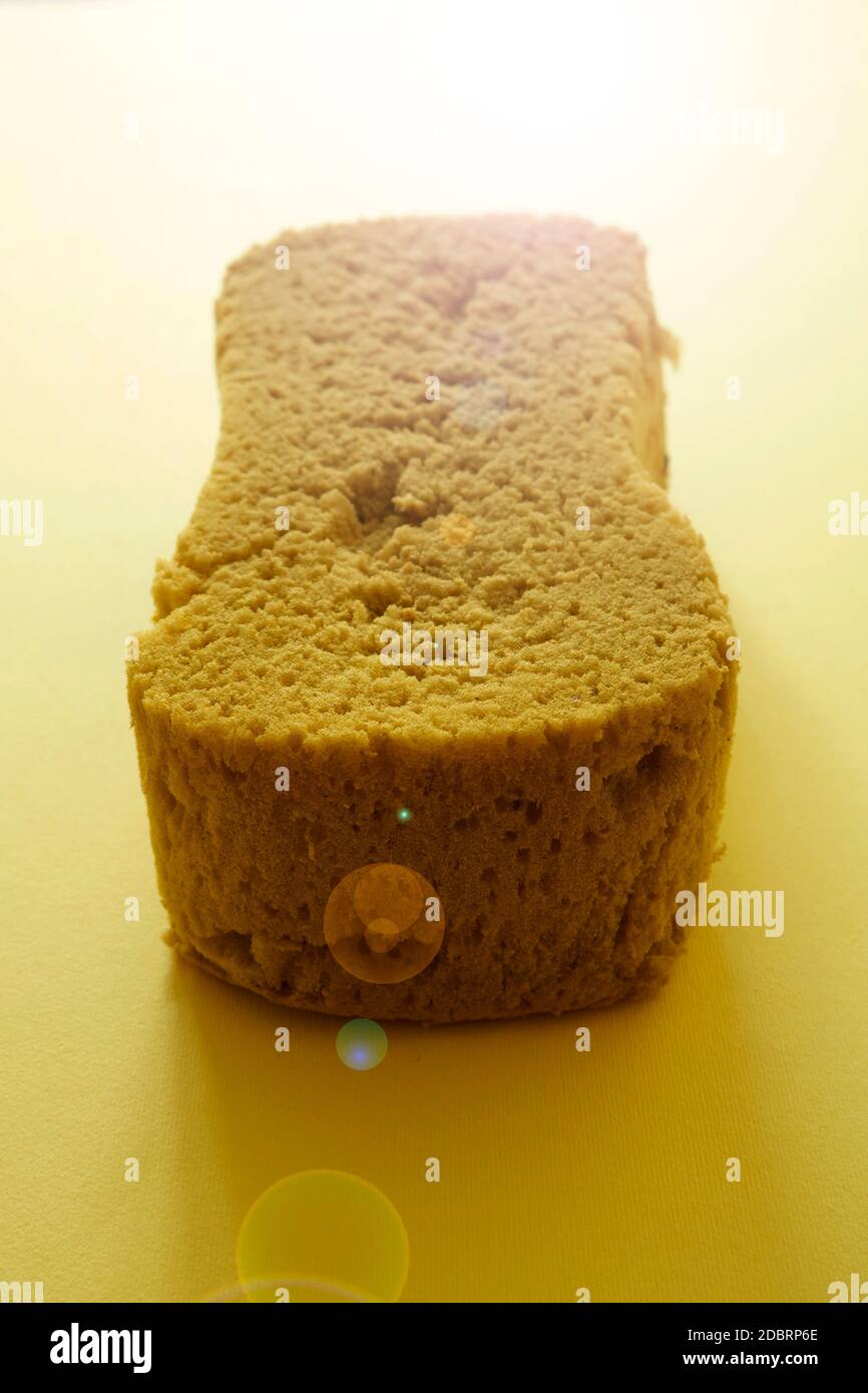 A studio photo of a large sponge Stock Photo - Alamy