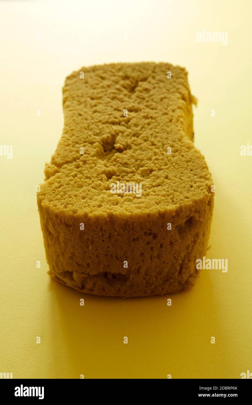 A studio photo of a large sponge Stock Photo - Alamy
