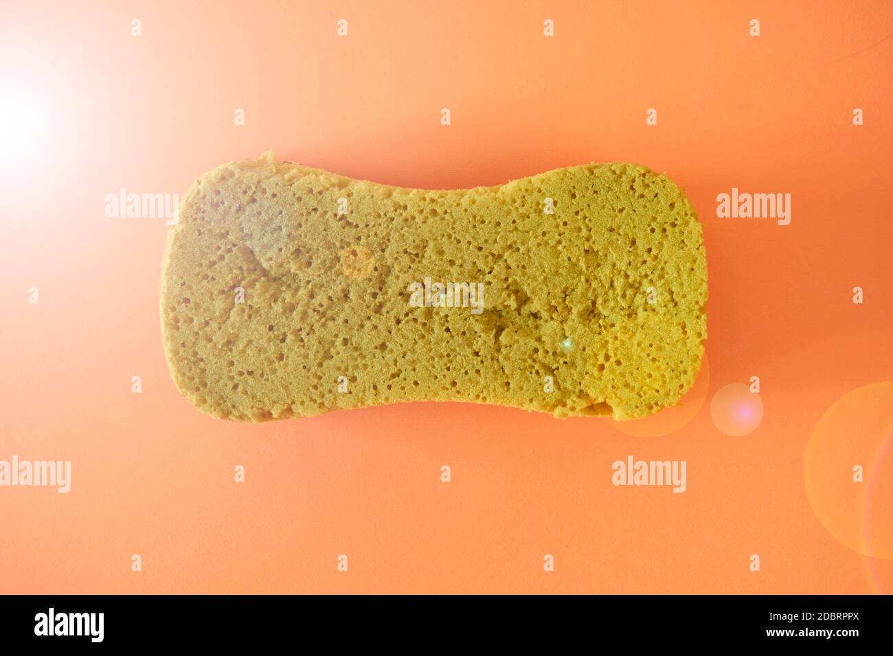 A studio photo of a large sponge Stock Photo - Alamy