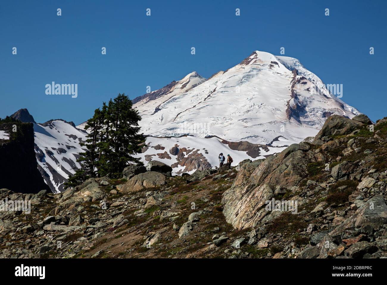 WA18190-00...WASHNGTON - Mount Baker towering over Herman Pass in the ...