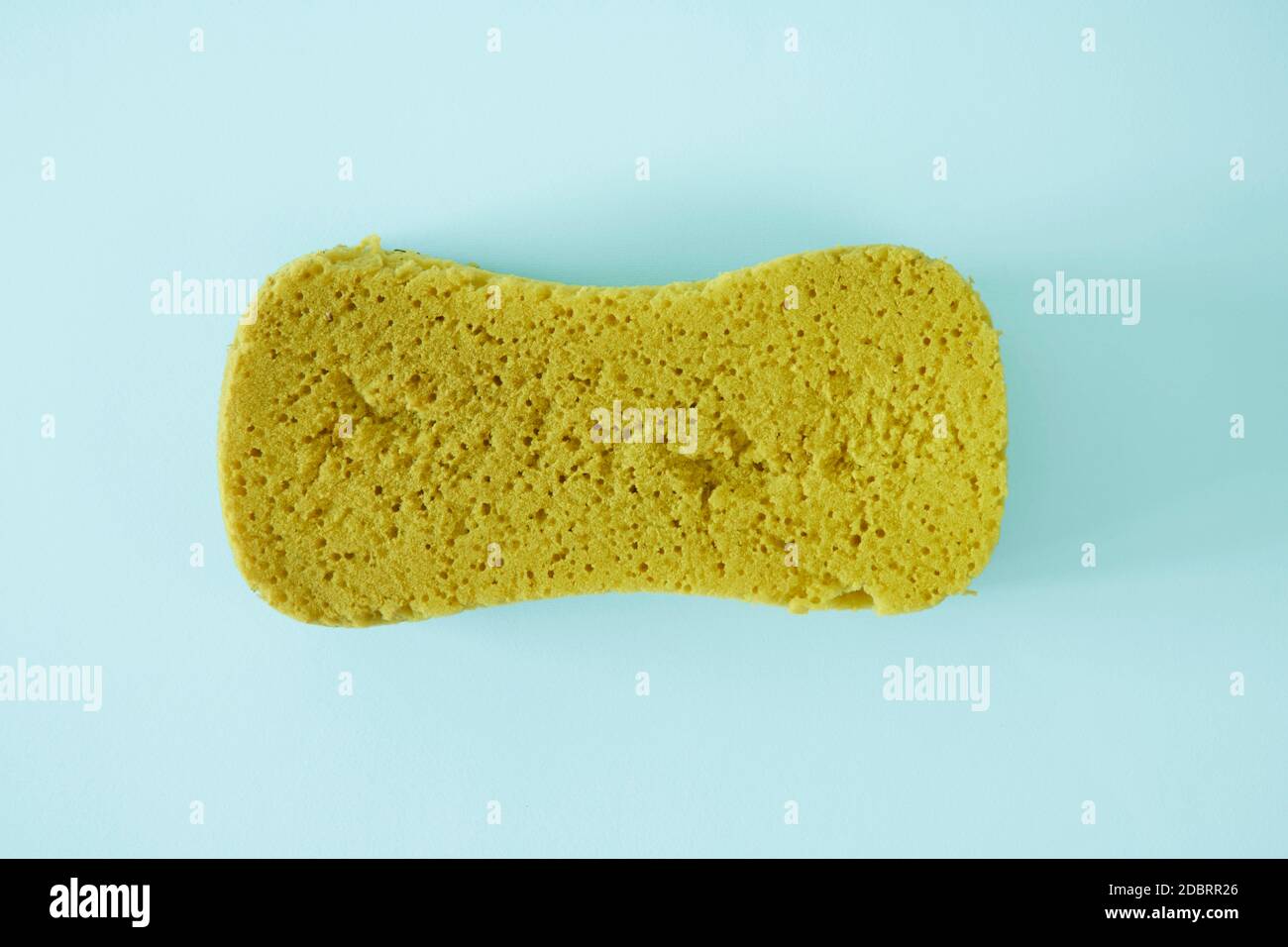 A studio photo of a large sponge Stock Photo - Alamy