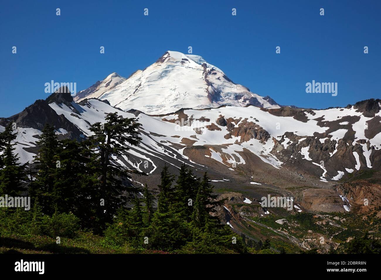 WA18193-00...WASHINGTON - Ptarmigan Ridge and Mount Baker viewed from ...