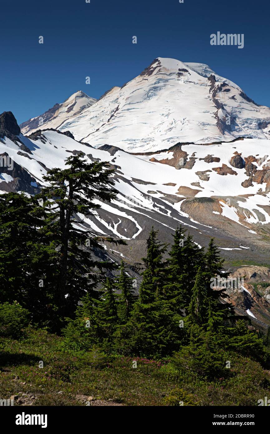 WA18194-00...WASHINGTON - Ptarmigan Ridge and Mount Baker in the Mount ...