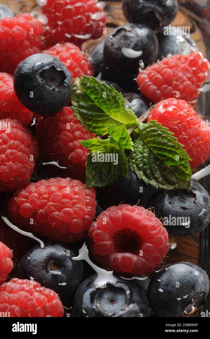 Raspberries and blueberries with mint in the water Stock Photo - Alamy
