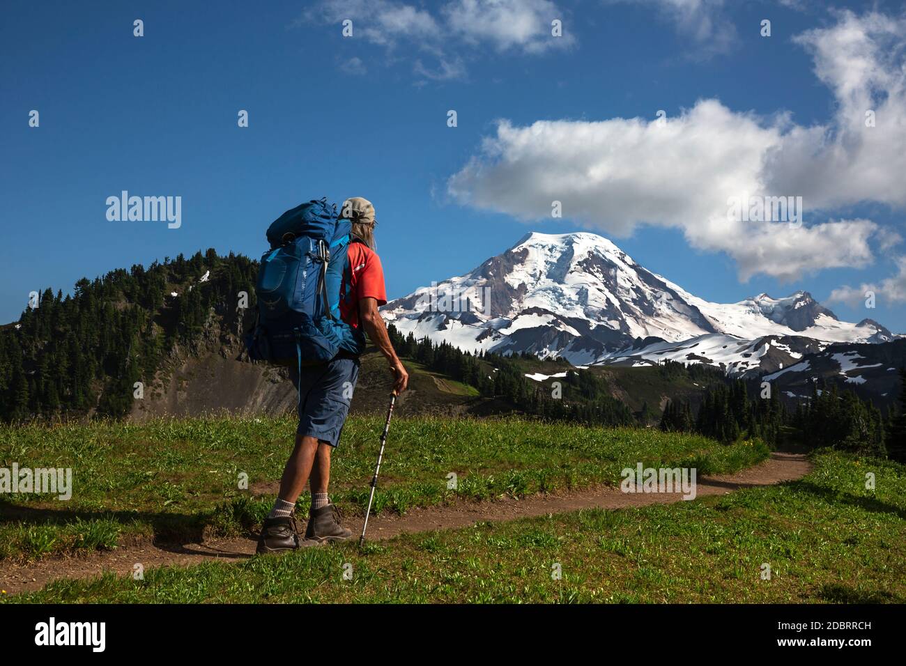 WA18198-00...WASHINGTON - Hiker on the Skyline Divide Trail with a view ...