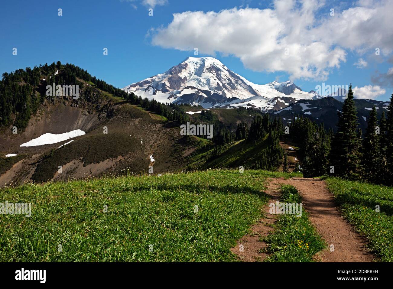 WA18200-00...WASHINGTON - Well trampled trail along Skyline Divide in ...