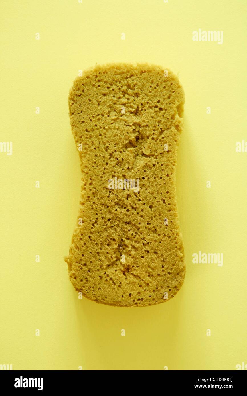 A studio photo of a large sponge Stock Photo - Alamy