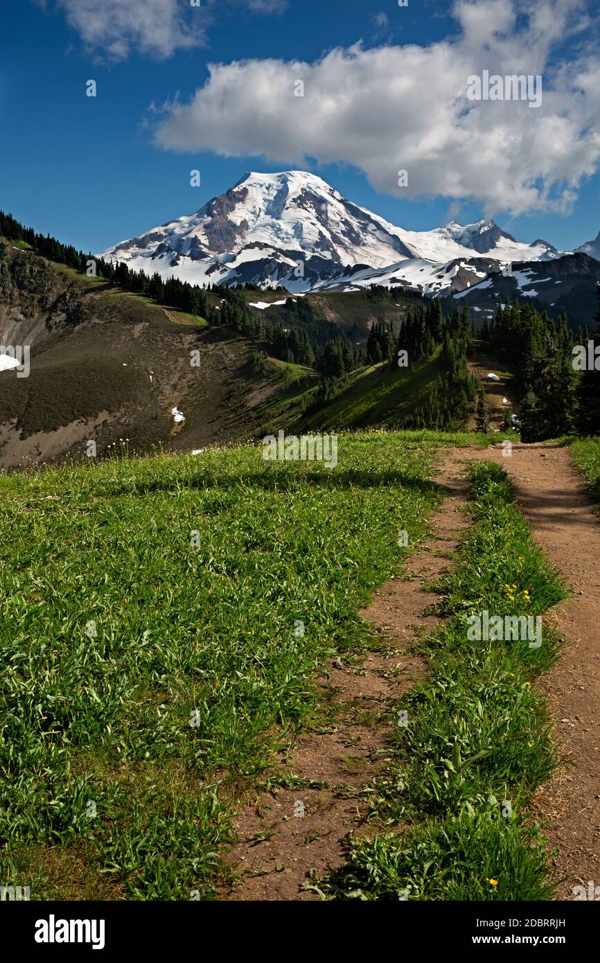 WA18201-00...WASHINGTON - Well trampled trail along Skyline Divide in ...