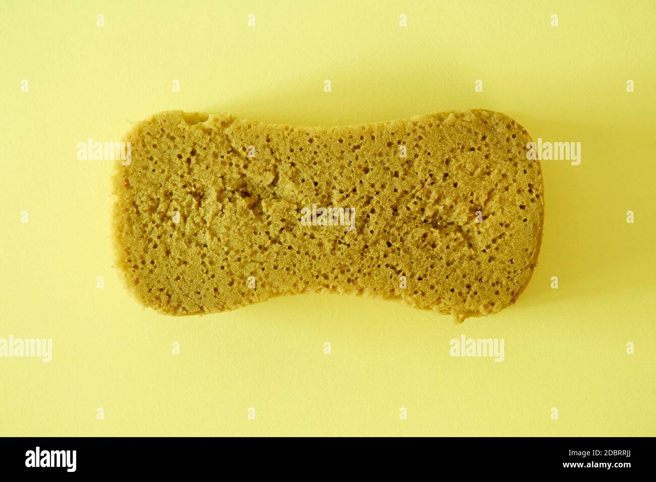 A studio photo of a large sponge Stock Photo - Alamy