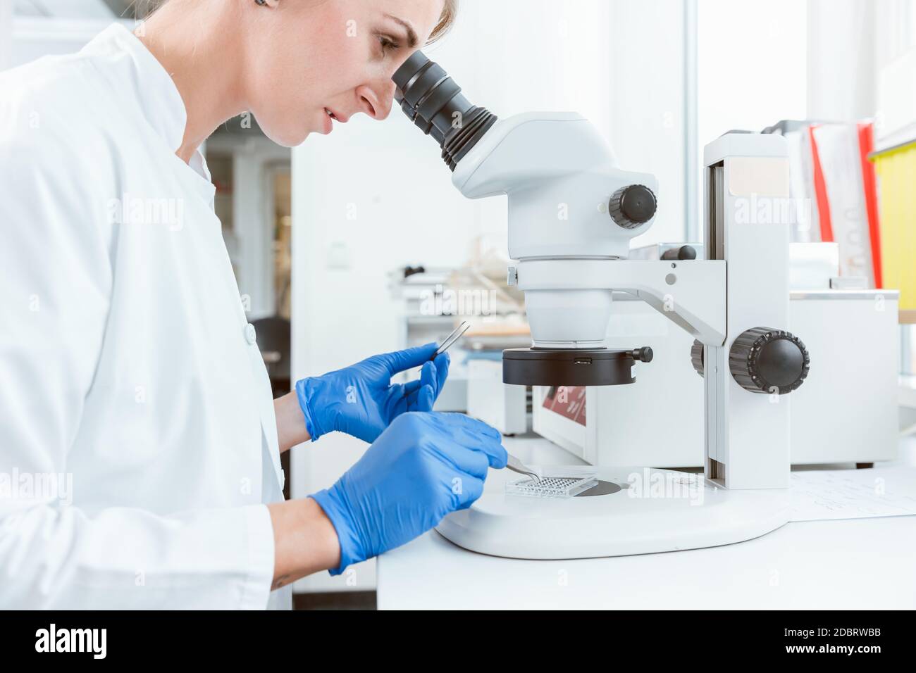 Female caucasian researcher looking through microscope in laboratory ...
