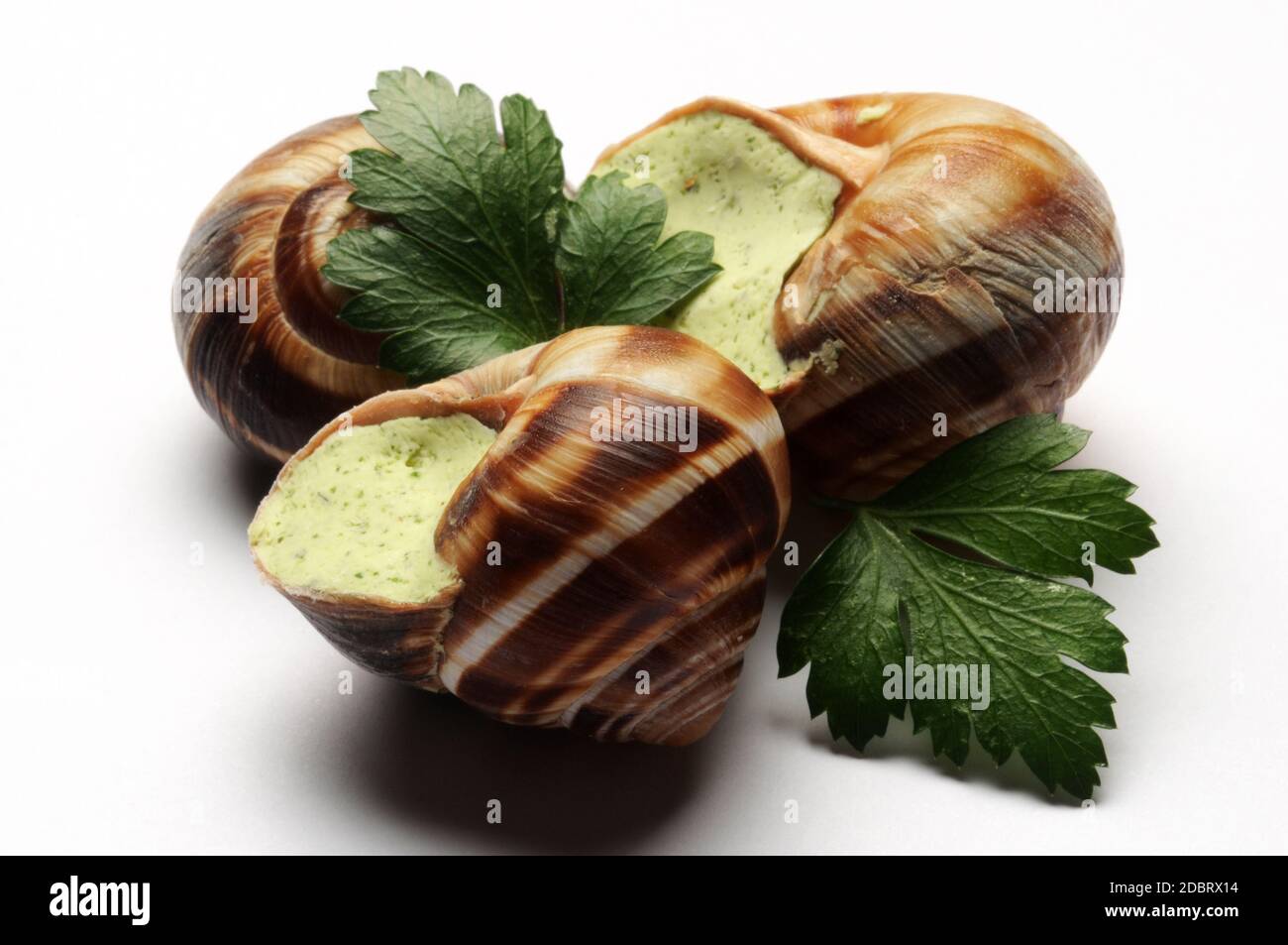 Frozen snails on a white background Stock Photo - Alamy