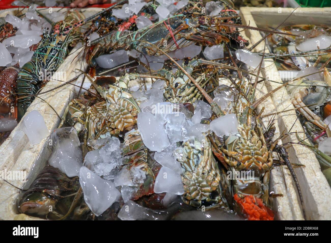 Fresh seafood for sale at Pasar Ikan Kedonganan in Jimbaran, Bali ...