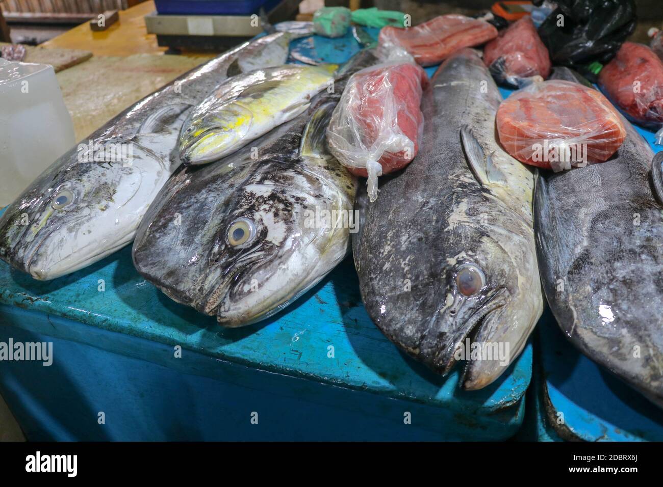 Selling fresh seafood fish on the tourist attraction local market in ...