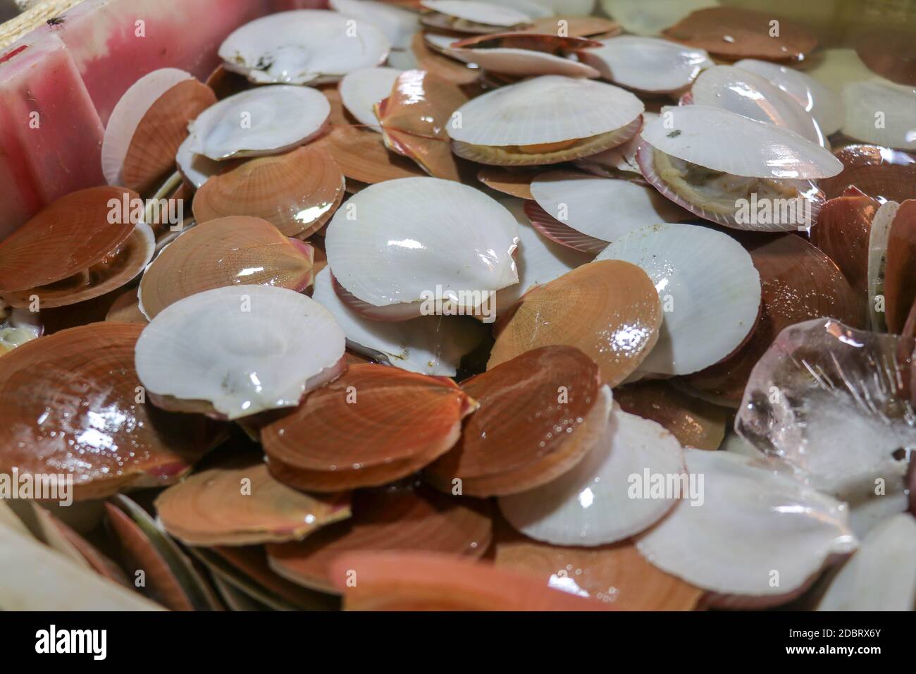 Selling fresh seafood fish on the tourist attraction local market in ...