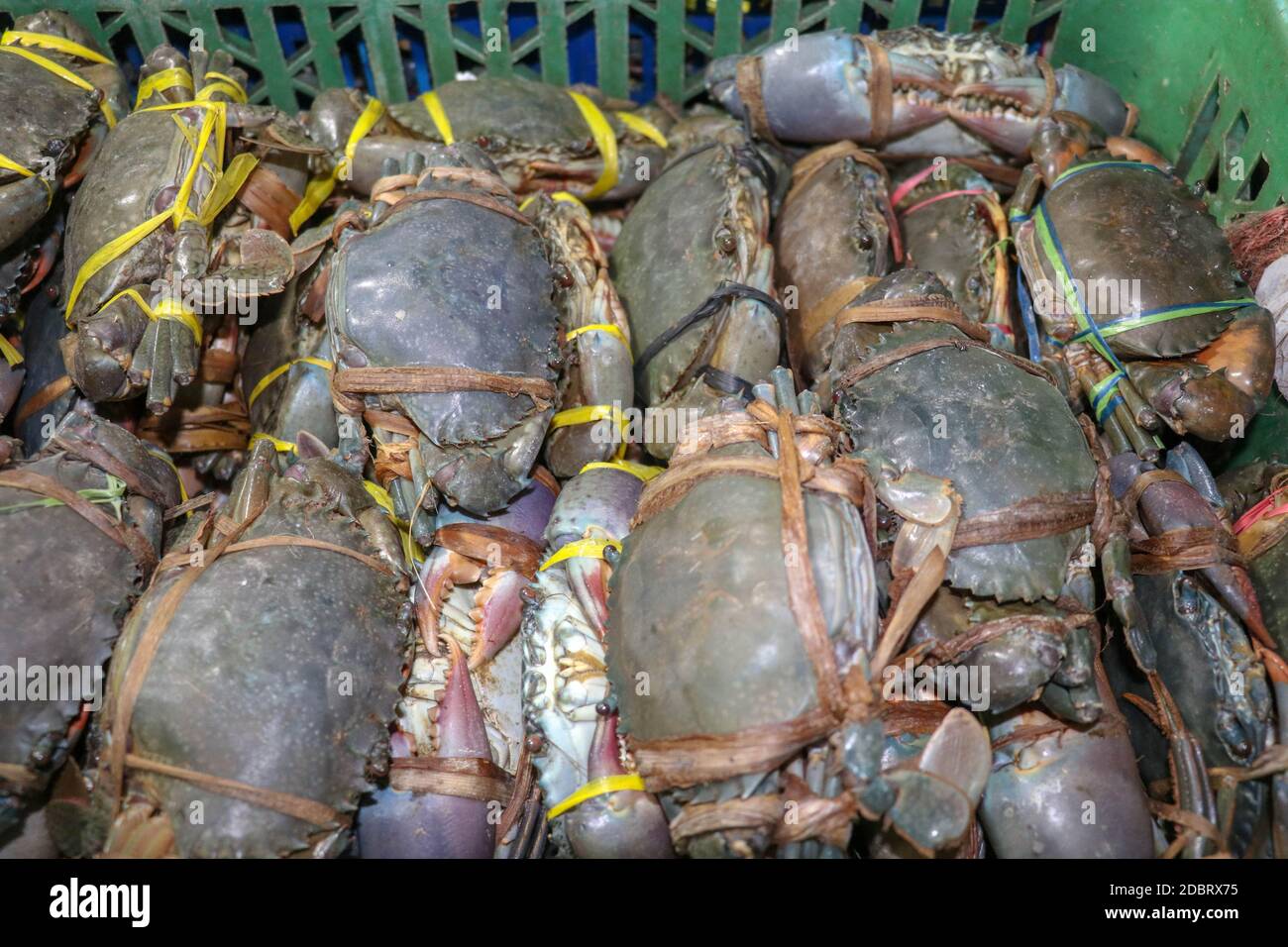 Pattern of fresh crabs selling on a seafood counter in Jimbaran. Pasar ...