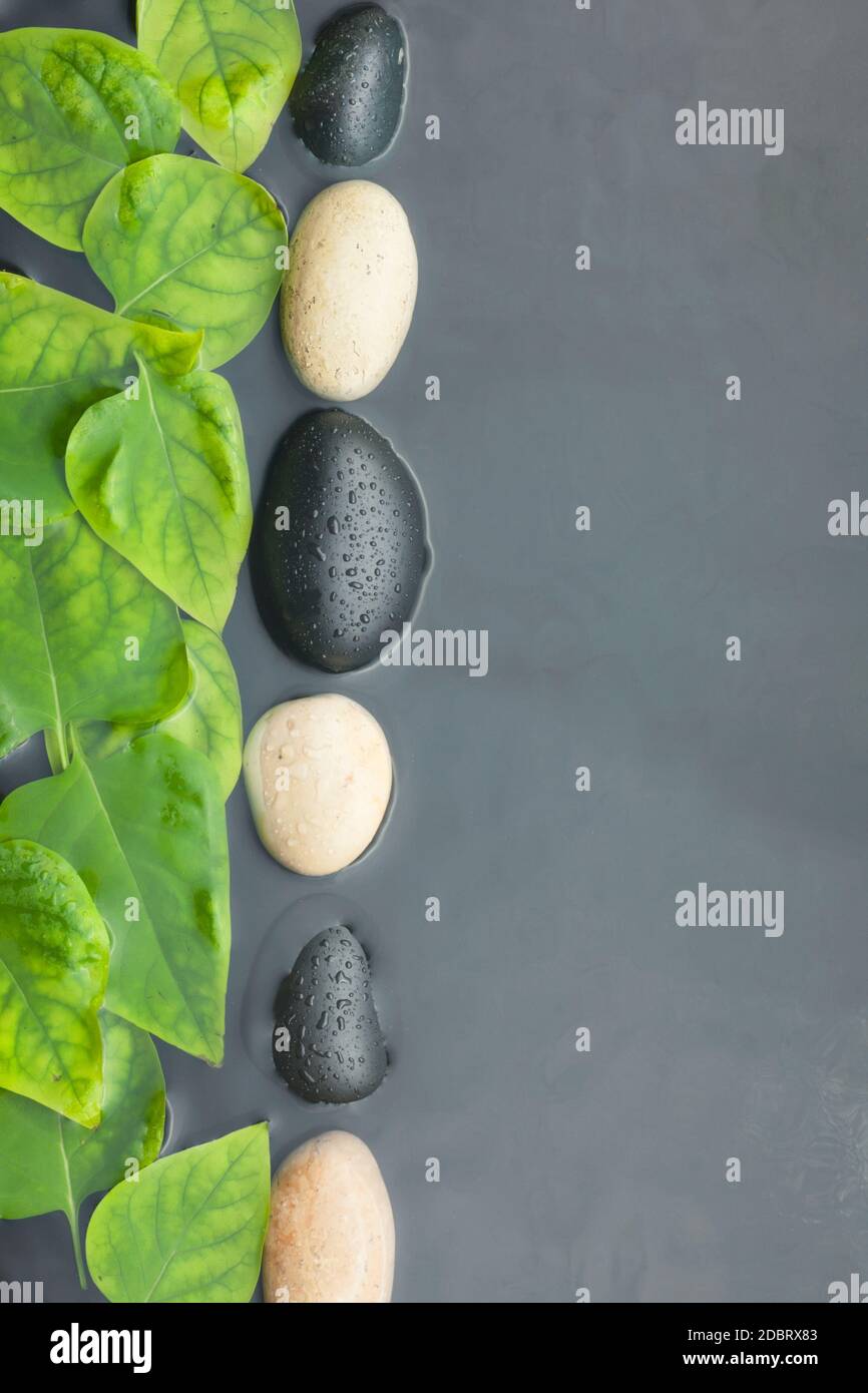 Line of stones and leaves in water, with space for your text Stock ...