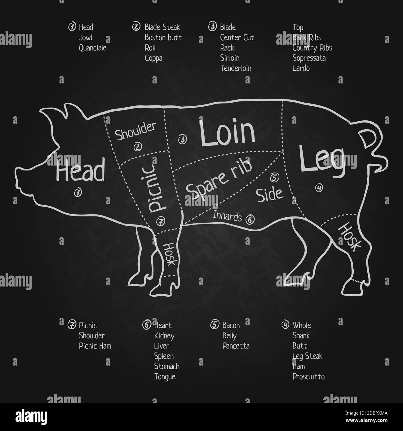 Creative Design Blackboard Poster with Detailed images of English Cut ...