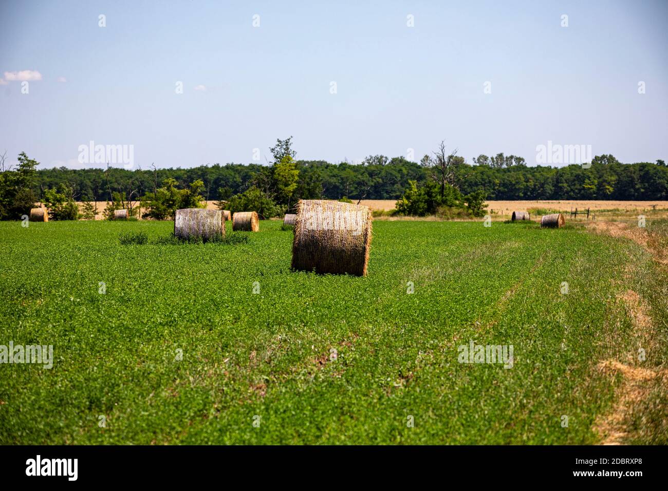 Hey roll hi-res stock photography and images - Alamy