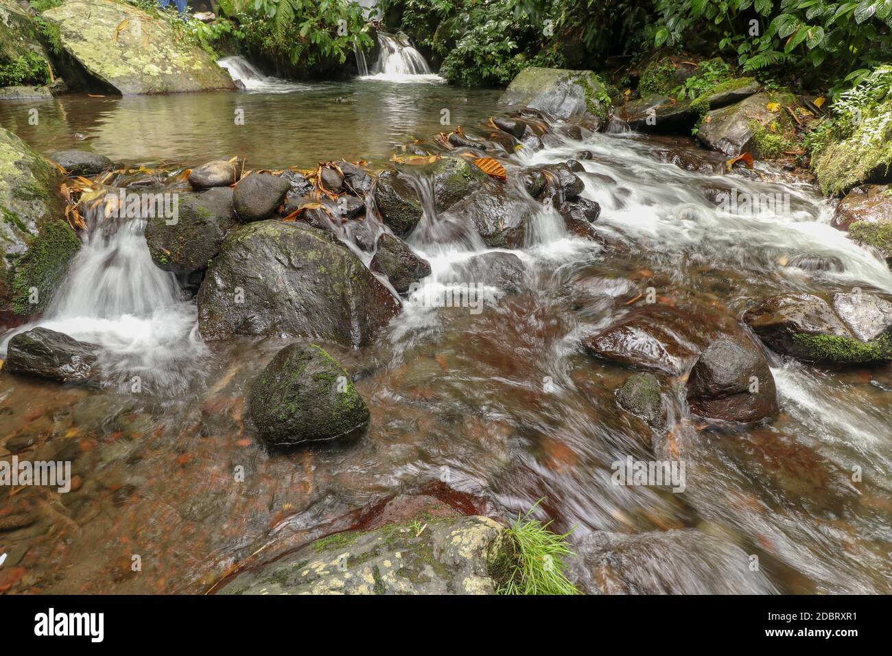 Rushing water flows through creek bed in rain forest. Water Flow ...