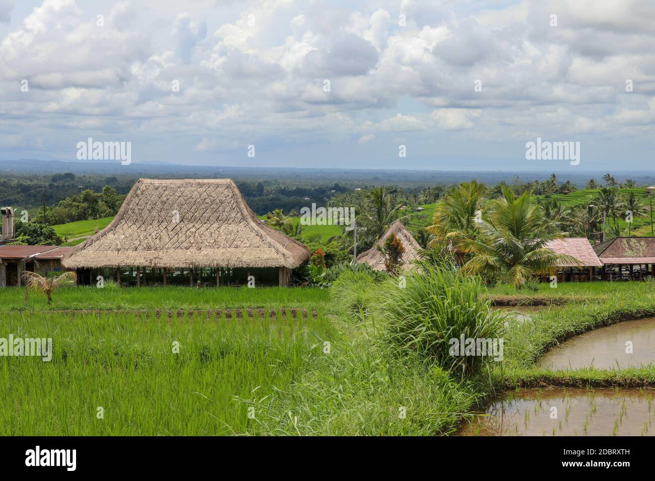 Jatiluwih rice terraces. The beautiful rice fields in bali have been ...