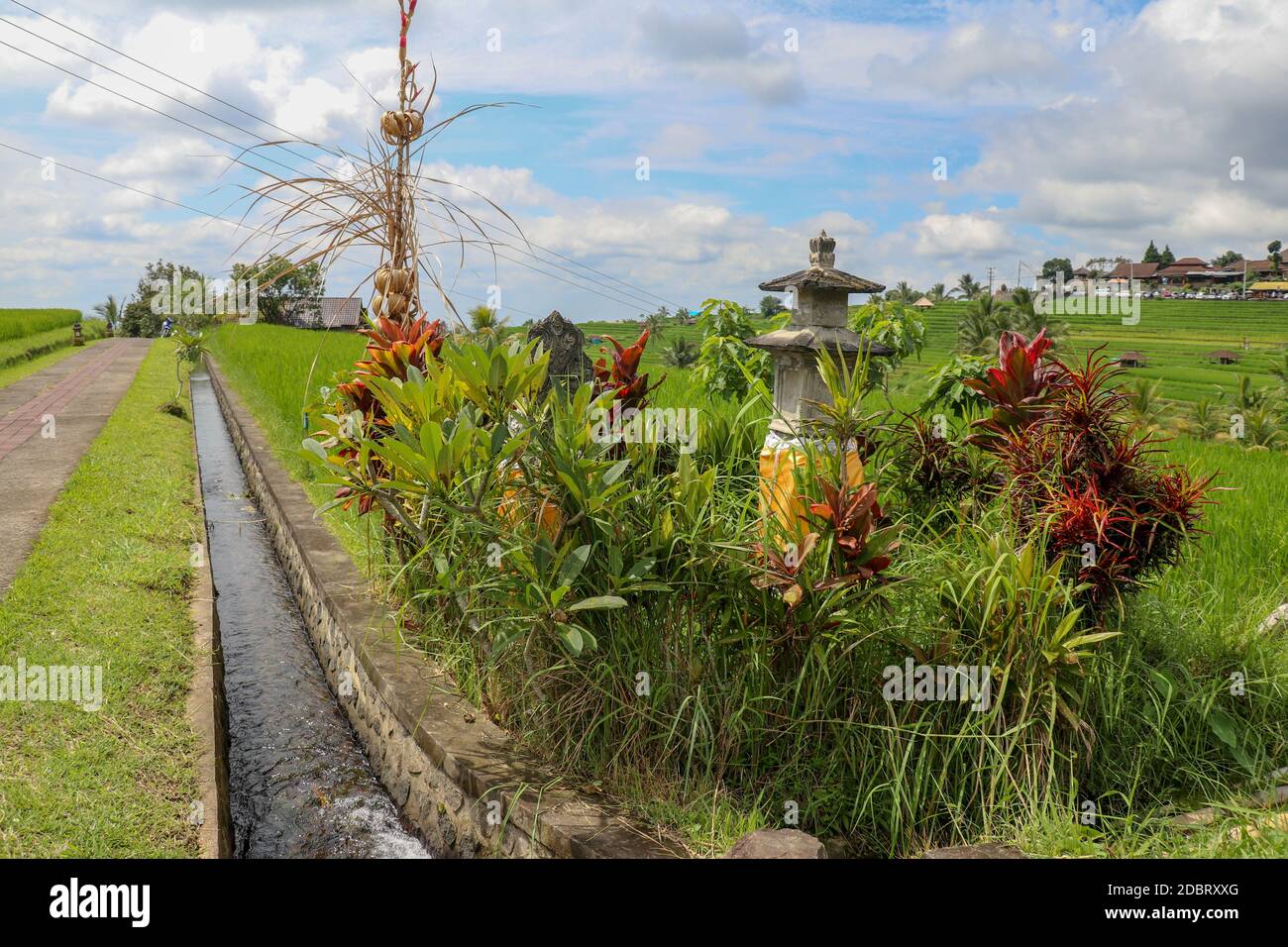 Irrigation canal called subak, a traditional way of bringing water to ...