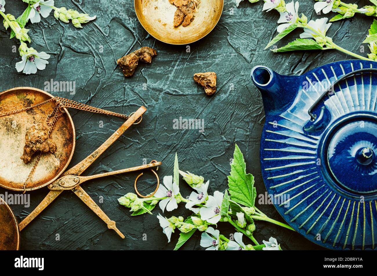 Wild medicinal herbal teas and althea root elixirs Stock Photo - Alamy