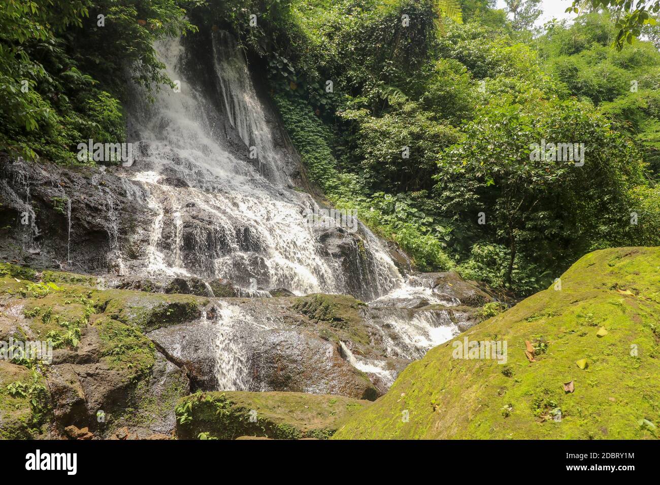 Scenic cascade Goa Giri Campuhan waterfall in tropical jungle in Bali ...