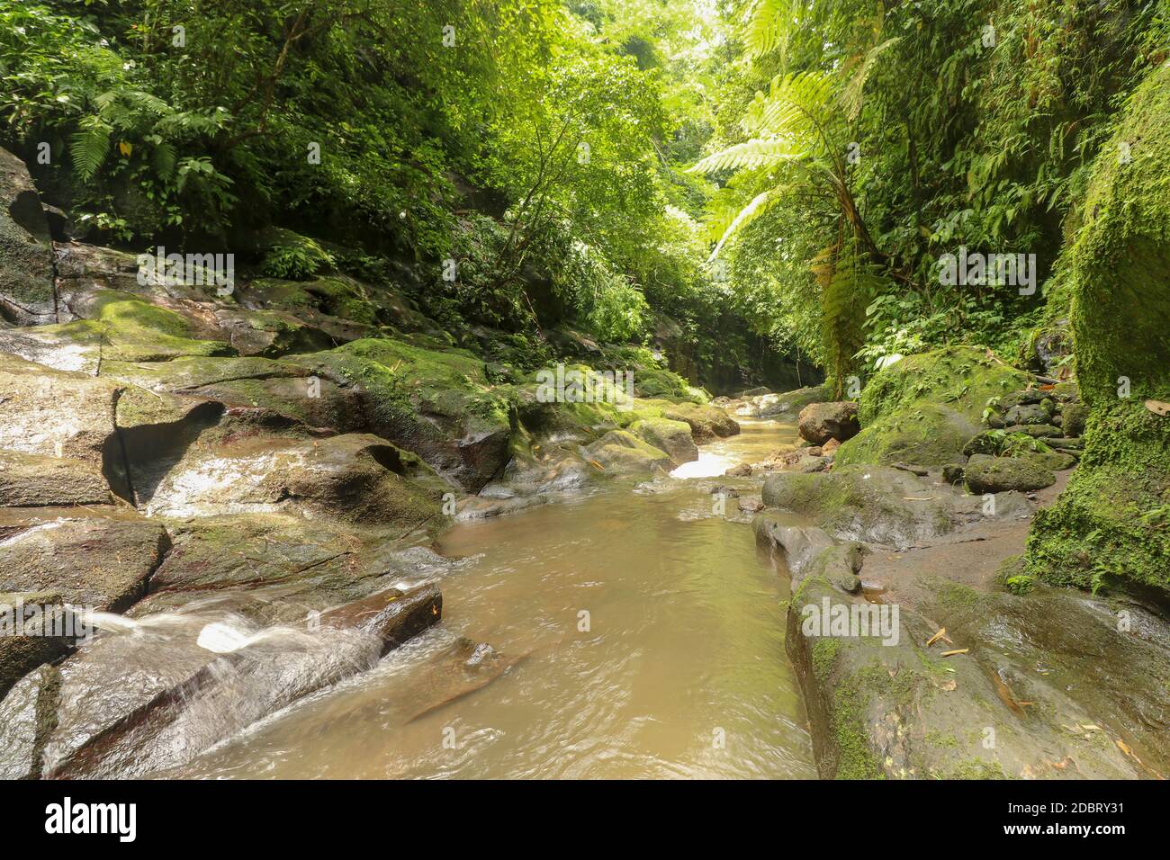 Beautiful texture of stone riverbed polished by mountain river flow ...