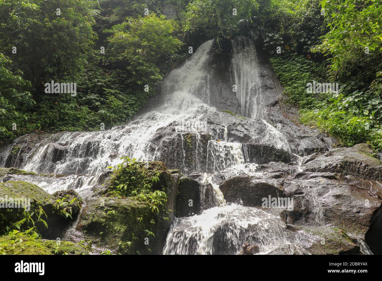 Scenic cascade Goa Giri Campuhan waterfall in tropical jungle in Bali ...