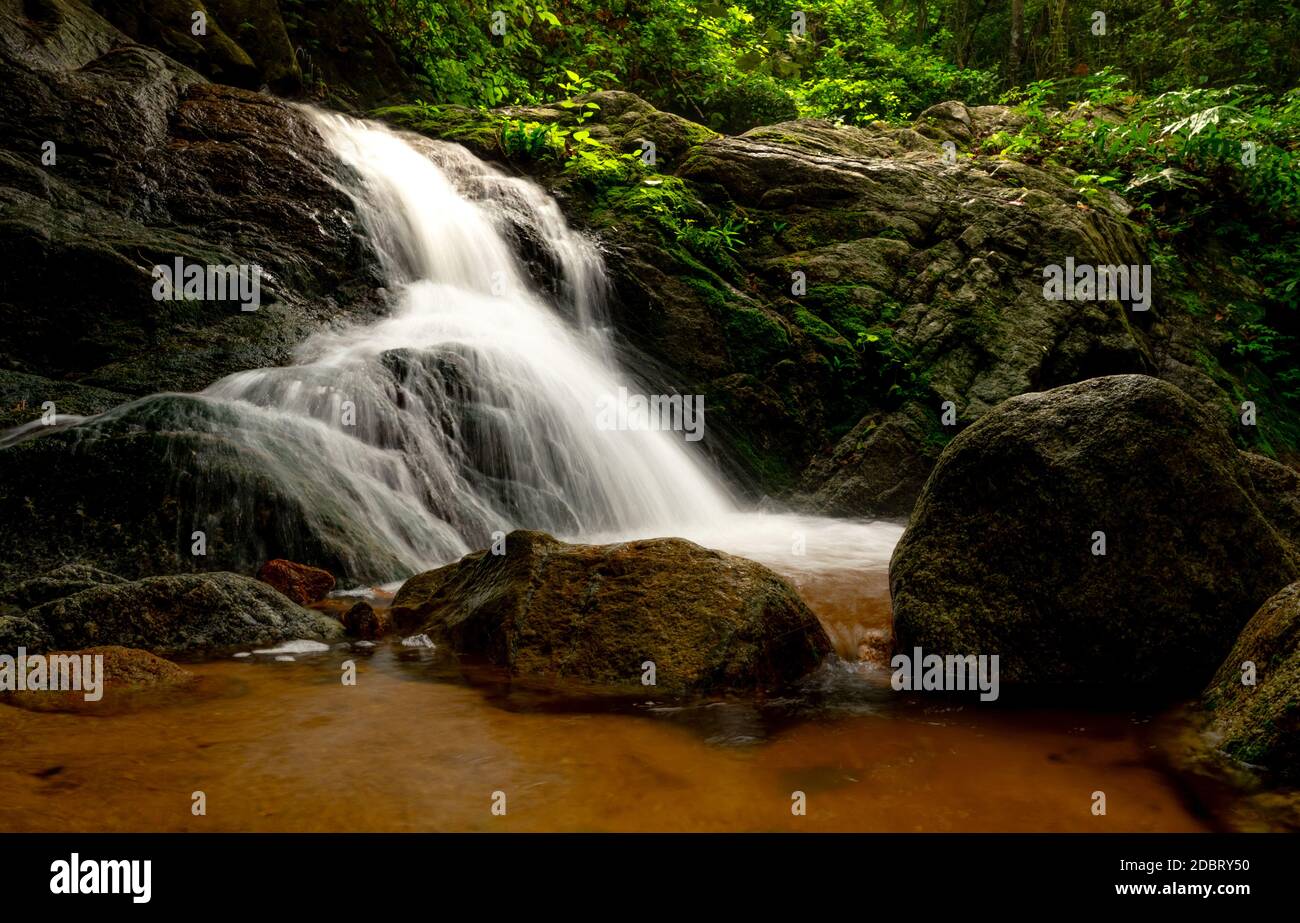 Beautiful waterfall in jungle. Waterfall in tropical forest with green ...