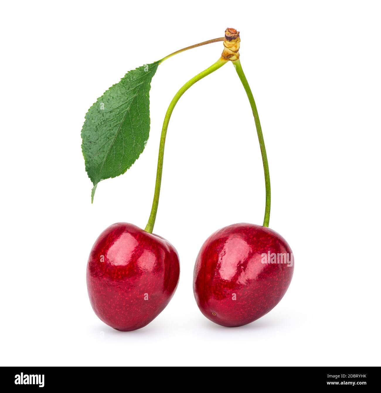 Two red cherries isolated on a white background Stock Photo - Alamy