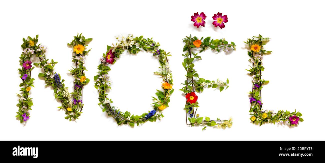 Flower, Branches And Blossom Letter Building French Word Noel Means ...