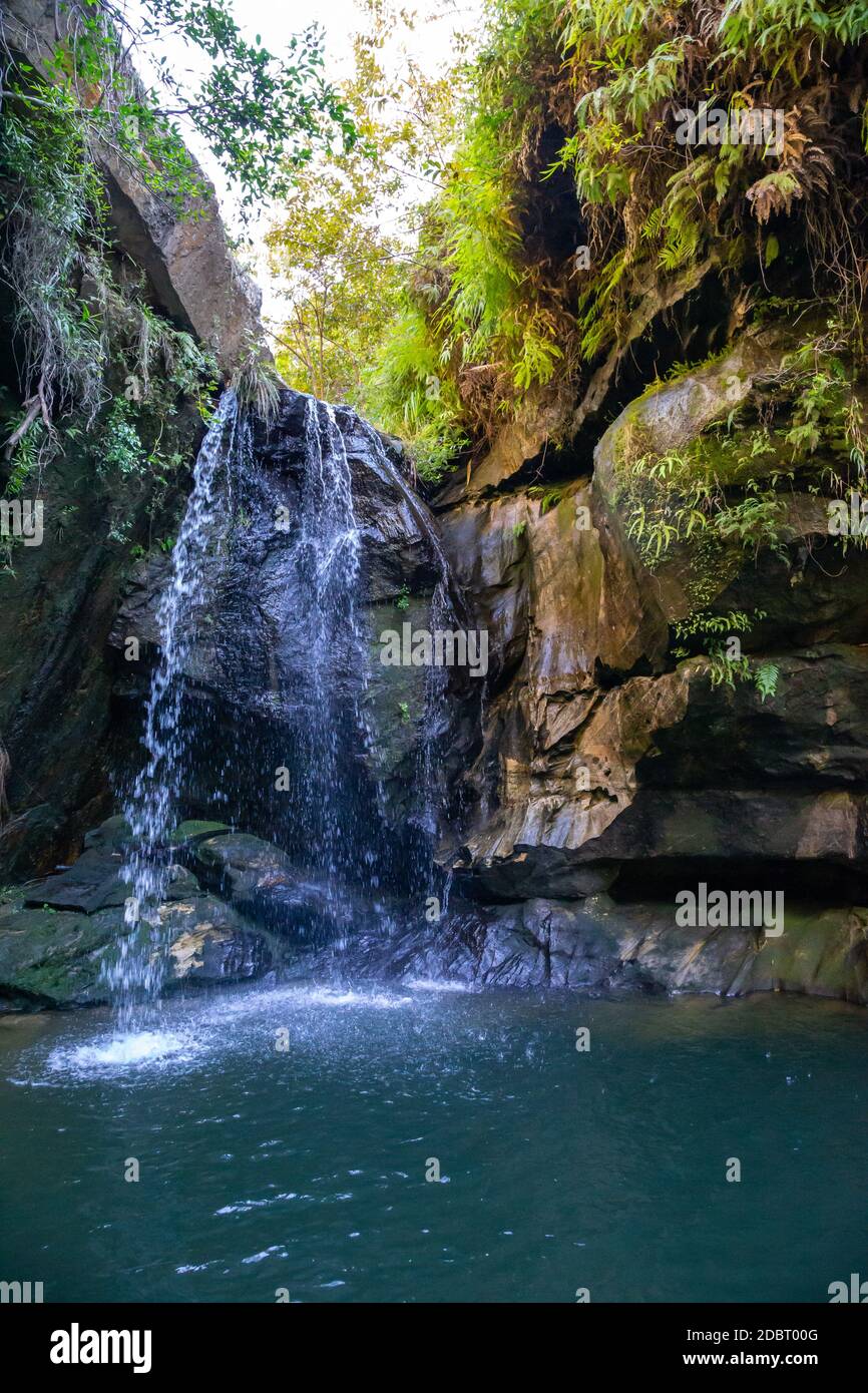 The lake with a small waterfall surrounded by many plants Stock Photo ...