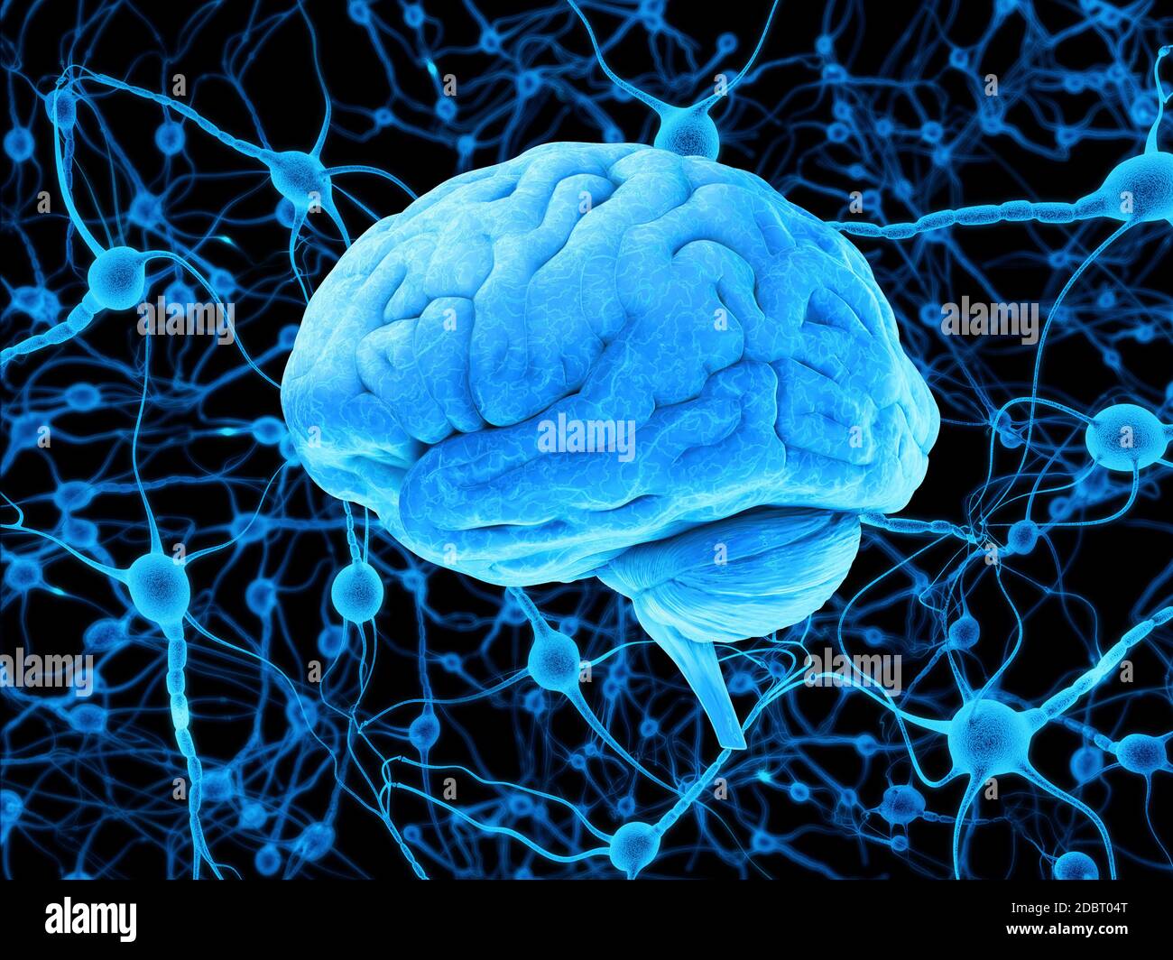 Digital illustration of human Brain, blue brain and neurons, active ...