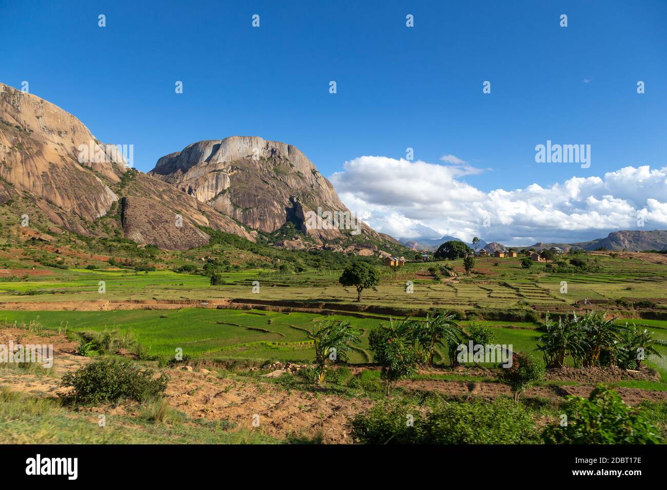 Madagascar field savanna hi-res stock photography and images - Alamy