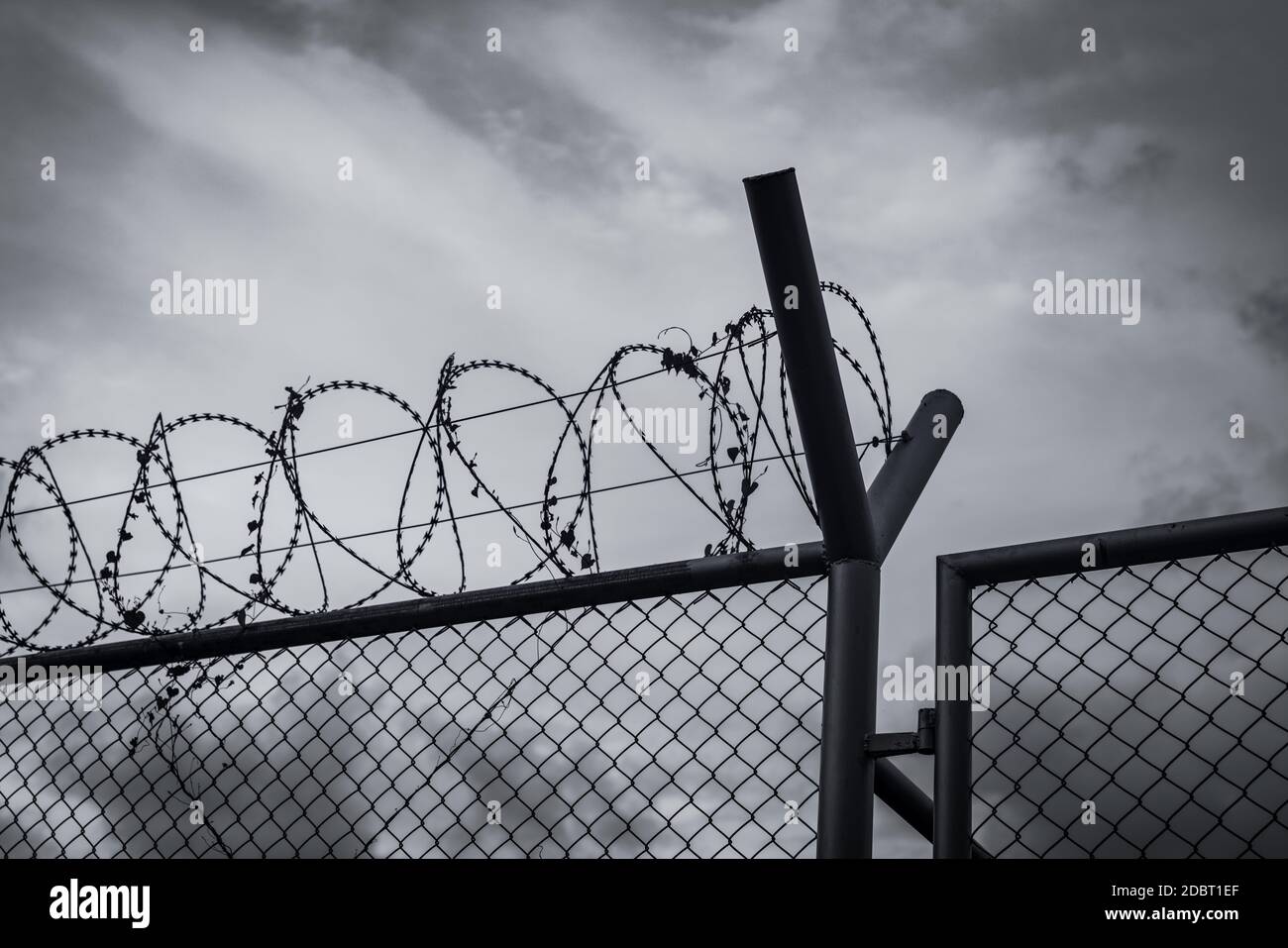 Prison security fence. Barbed wire security fence. Razor wire jail ...