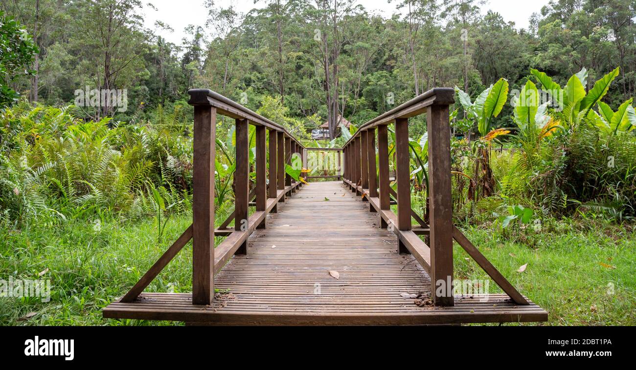 The beautiful wooden bridge in the middle of the jungle Stock Photo - Alamy