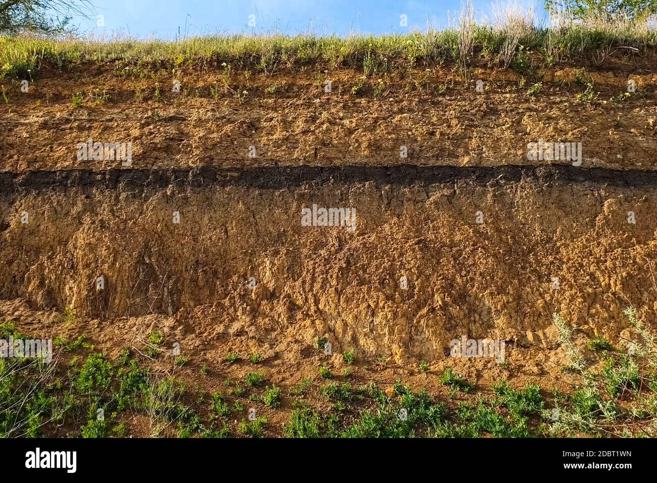 Soil slice in a quarry. Visible soil layers. Traces of sedimentation ...