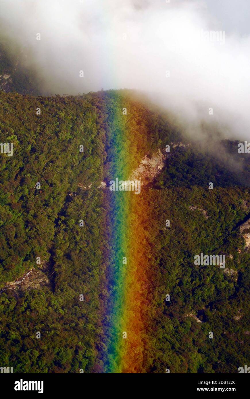 Rainbow over the forest hi-res stock photography and images - Alamy