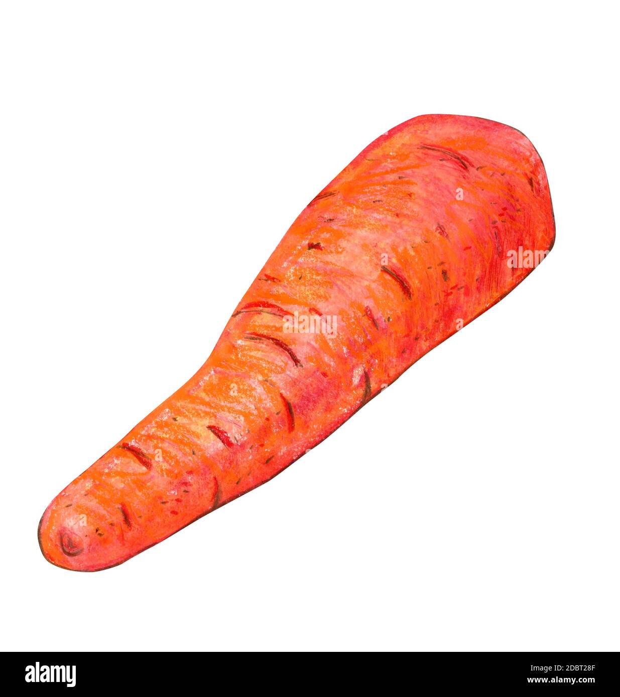 Carrot without leaves isolated on a white background. Food illustration ...